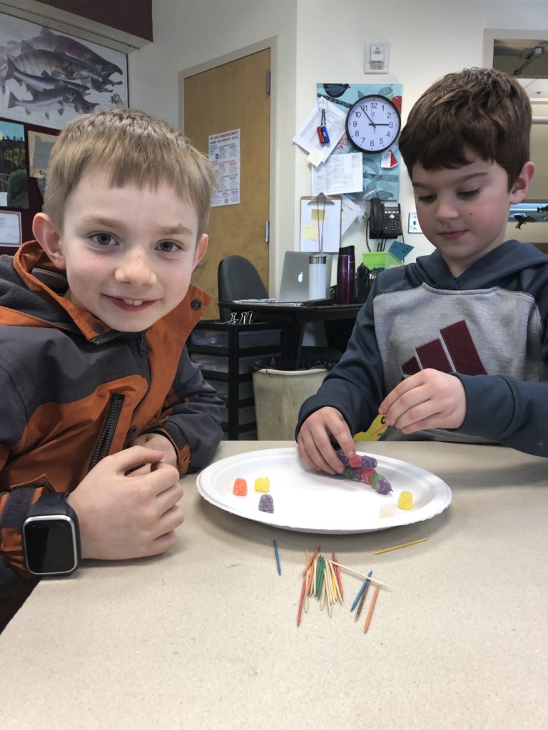 Wind Structures - Corbett School District